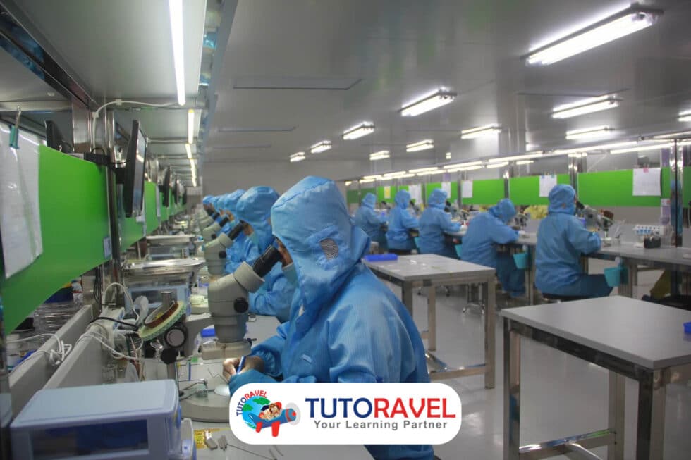 Pabrik di China, Peran, dan Tantangannya dalam Industri Global - Tutoravel